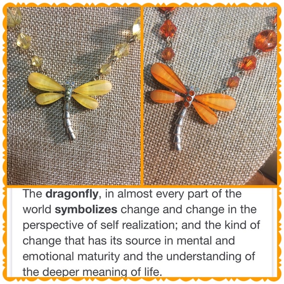 Jewelry | Dragonfly Jewelry Symbolizes Change | Poshmark